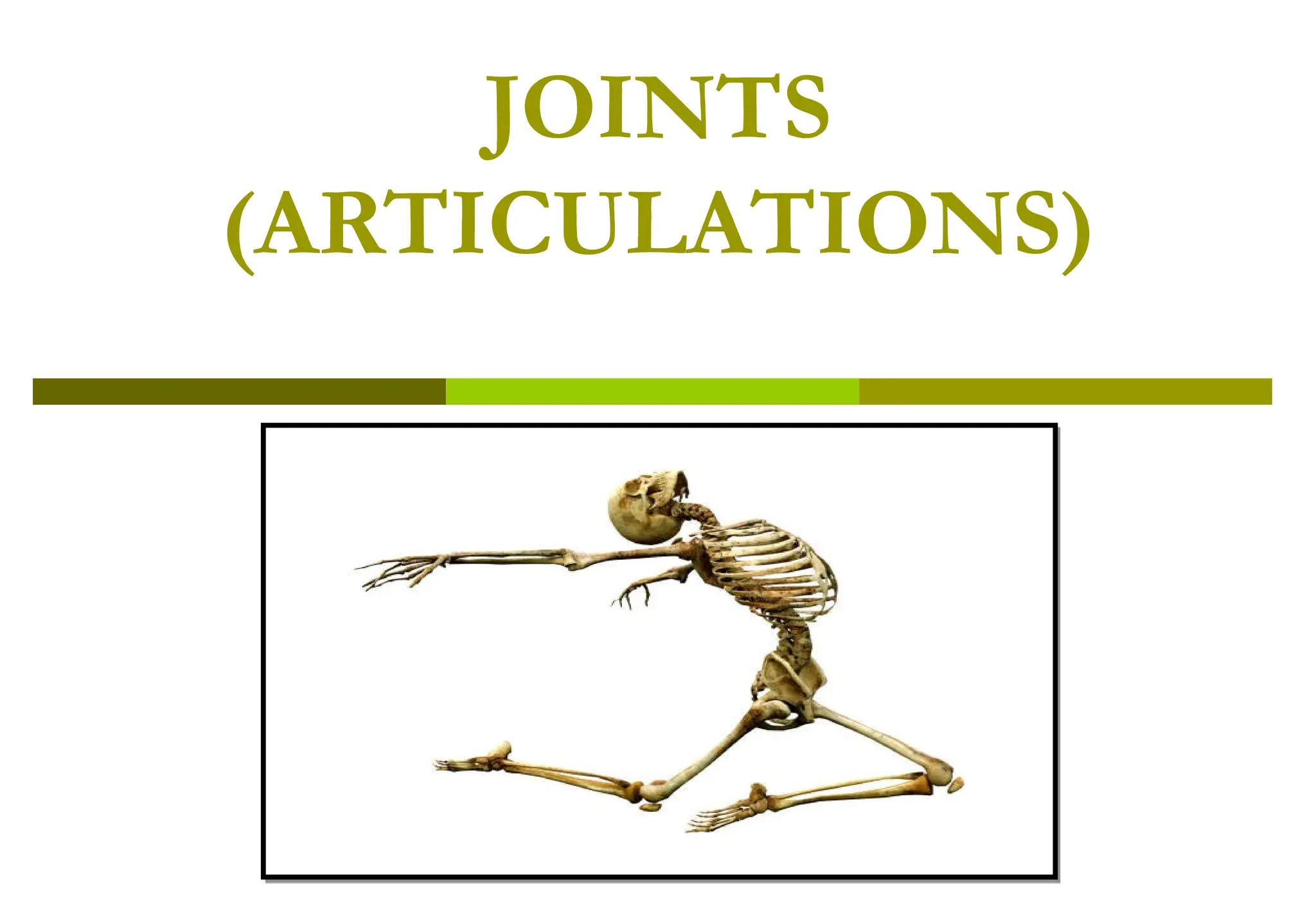 Human anatomy classification Of joint 1.ppt