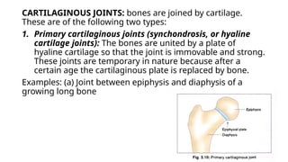 JOINTS ppt anatomy for medical and physiotherapy students | PPTX