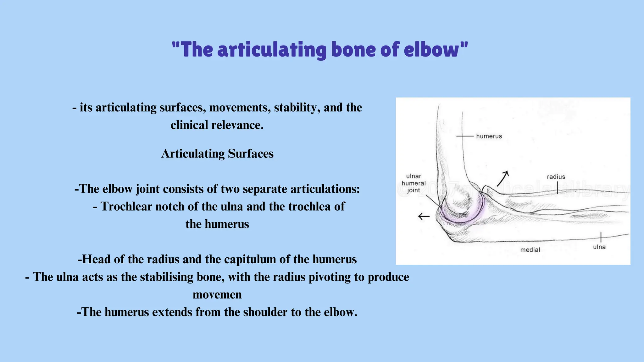 anatomical explanation of joints of the upper limb | PDF