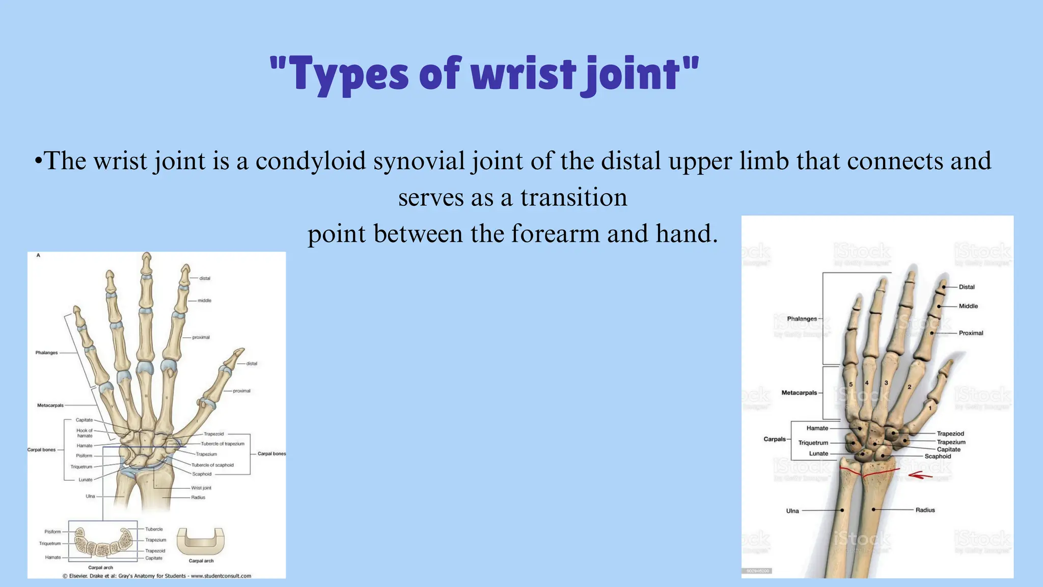 anatomical explanation of joints of the upper limb | PDF