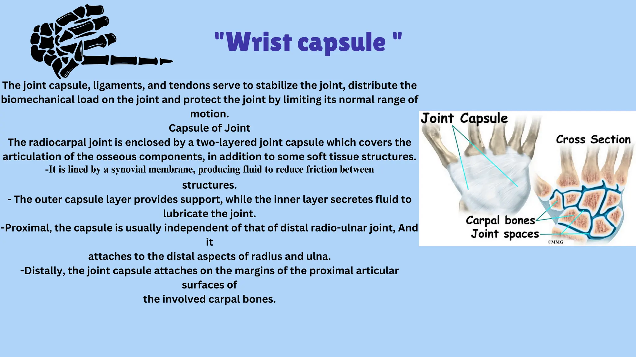 anatomical explanation of joints of the upper limb | PDF