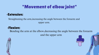 anatomical explanation of joints of the upper limb | PPT