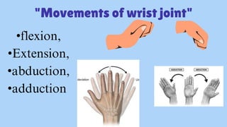 anatomical explanation of joints of the upper limb | PPT