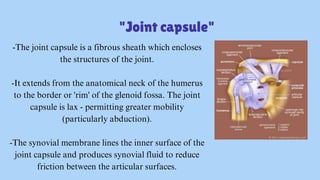 anatomical explanation of joints of the upper limb | PPT