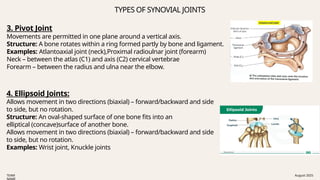 Comprehensive Overview of Human Joints: Types, Structure, and Function ...