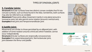 Comprehensive Overview of Human Joints: Types, Structure, and Function ...