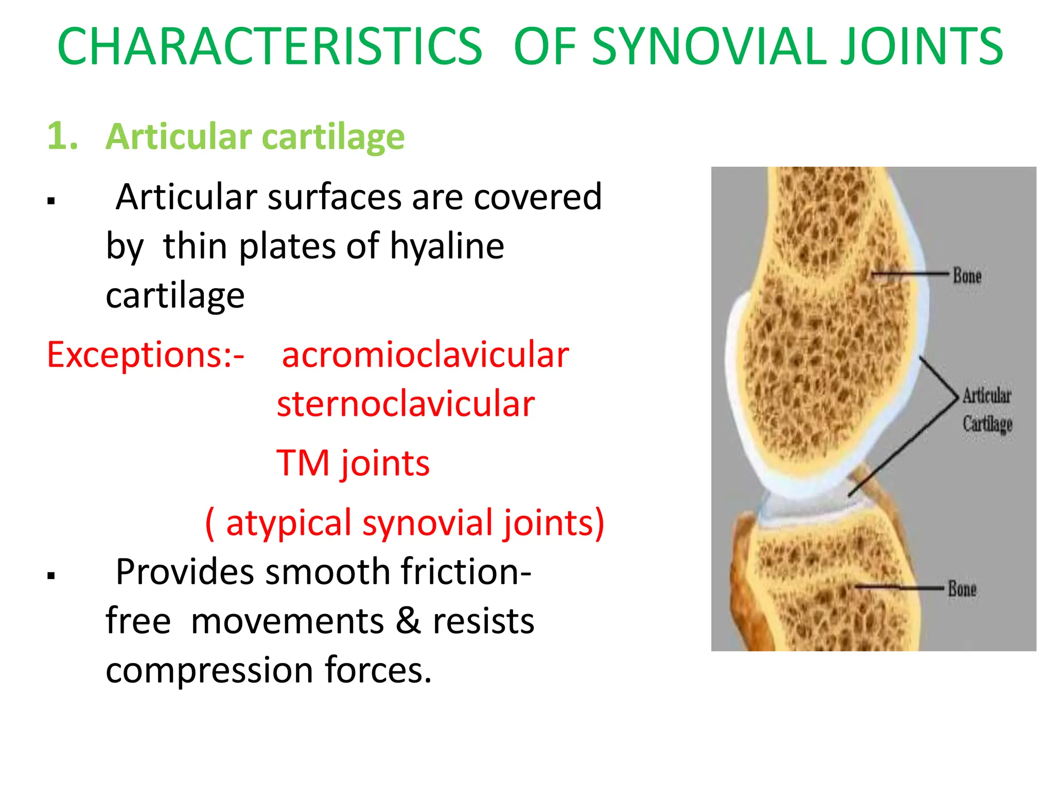JOINTS ANATOMY .anatomy of joint pptx... | PPTX
