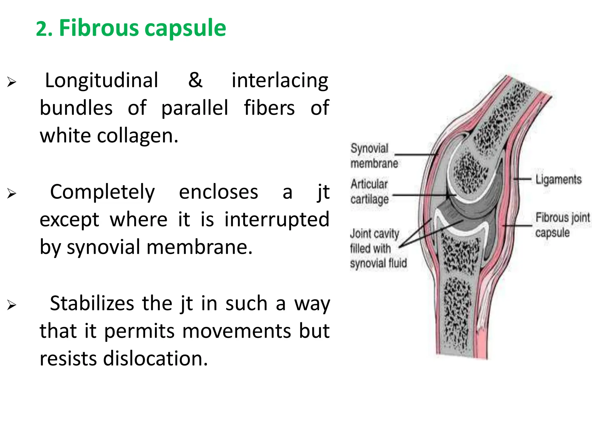 JOINTS ANATOMY .anatomy of joint pptx... | PPTX