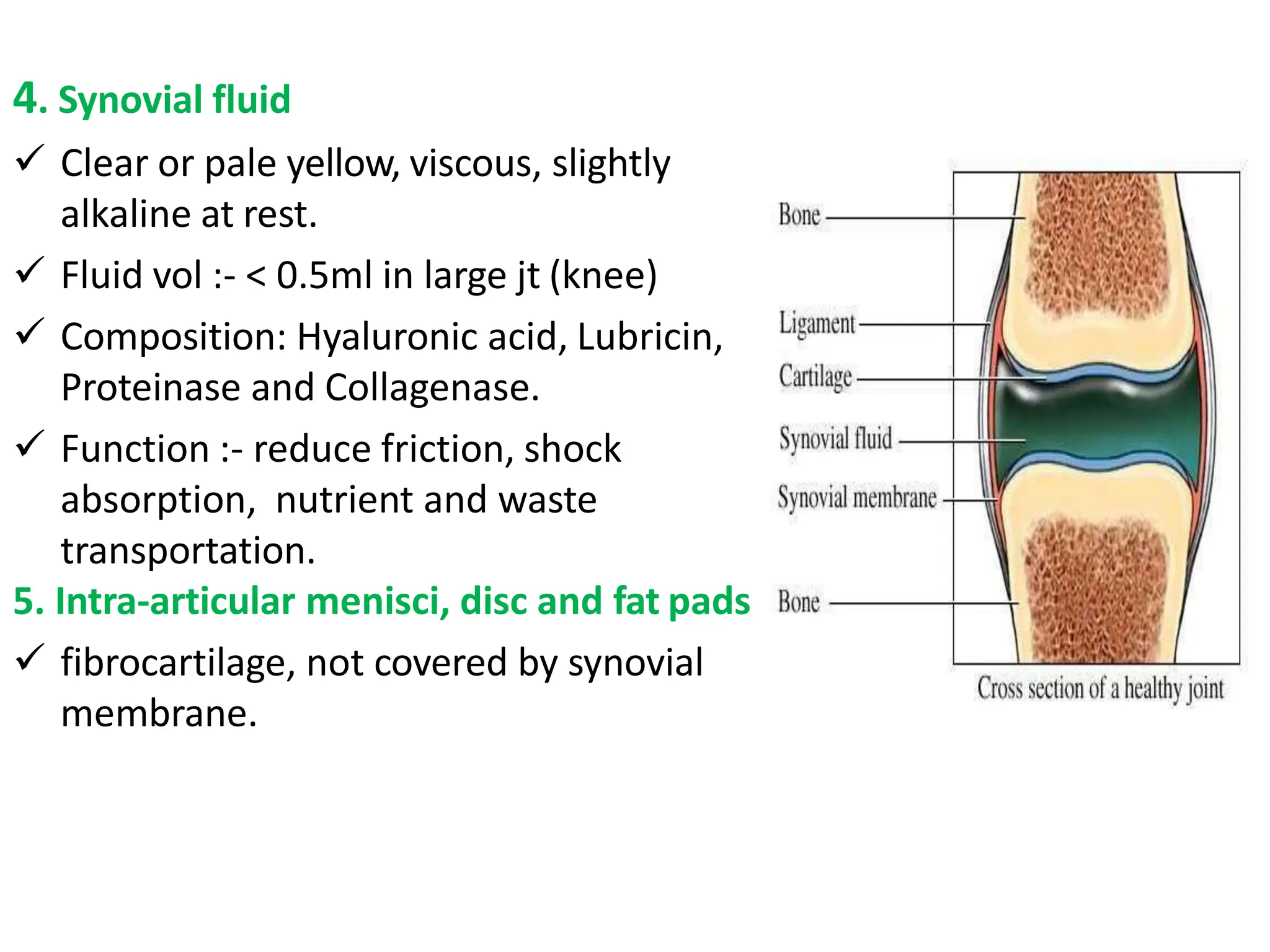 JOINTS ANATOMY .anatomy of joint pptx... | PPTX