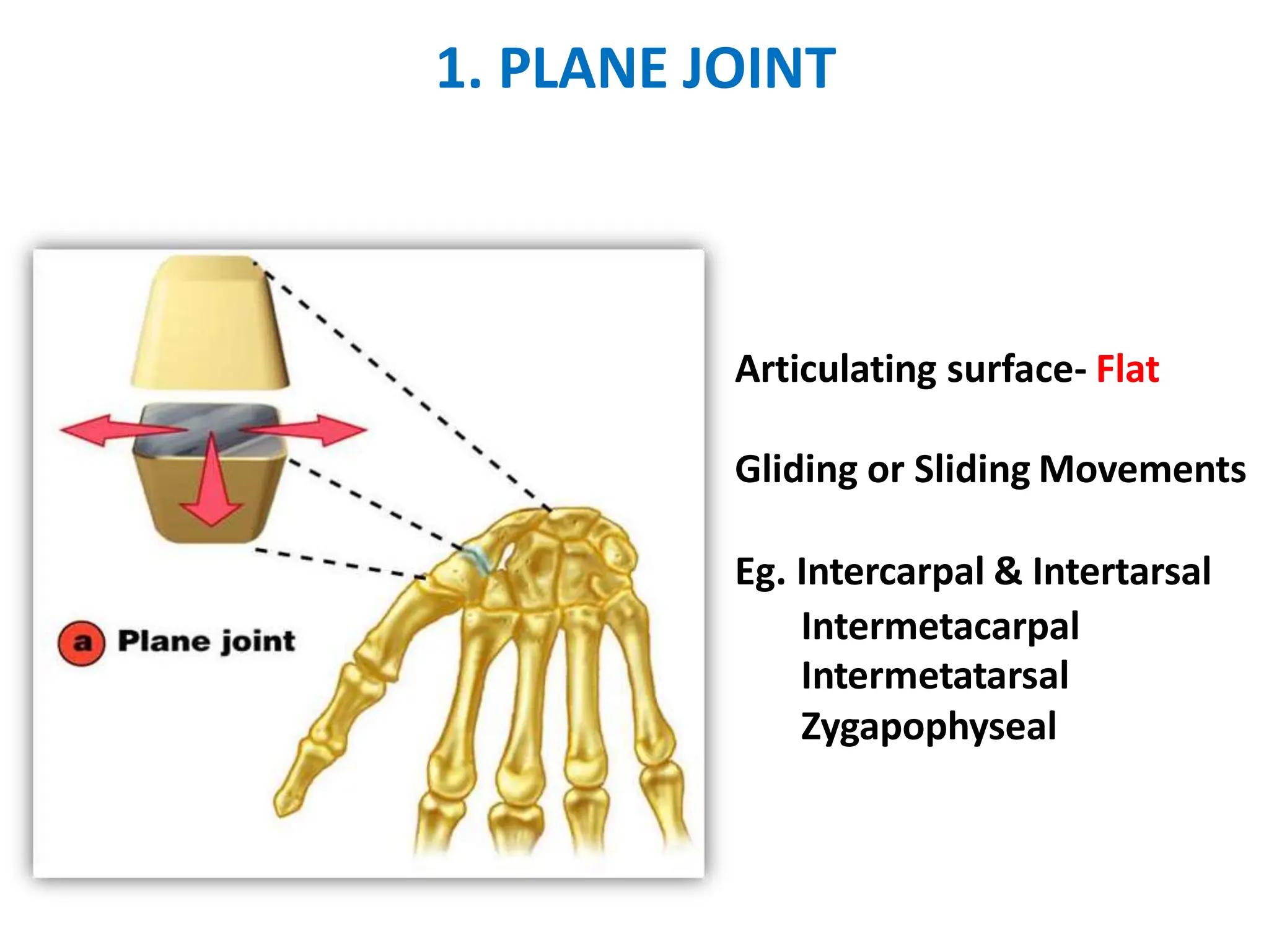 JOINTS ANATOMY .anatomy of joint pptx... | PPTX