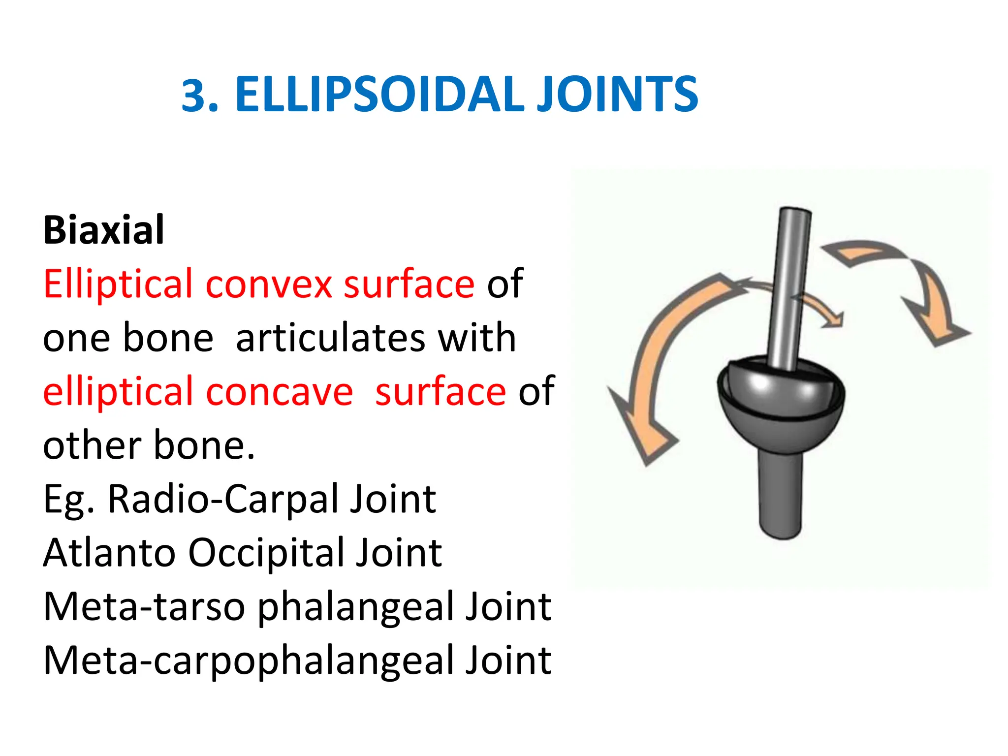 JOINTS ANATOMY .anatomy of joint pptx... | PPTX