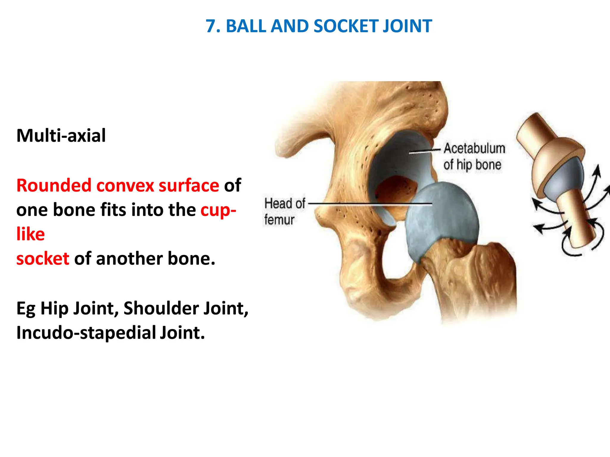 JOINTS ANATOMY .anatomy of joint pptx... | PPTX