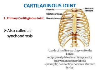 JOINTS ANATOMY .anatomy of joint pptx... | PPTX