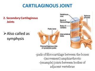 JOINTS ANATOMY .anatomy of joint pptx... | PPTX