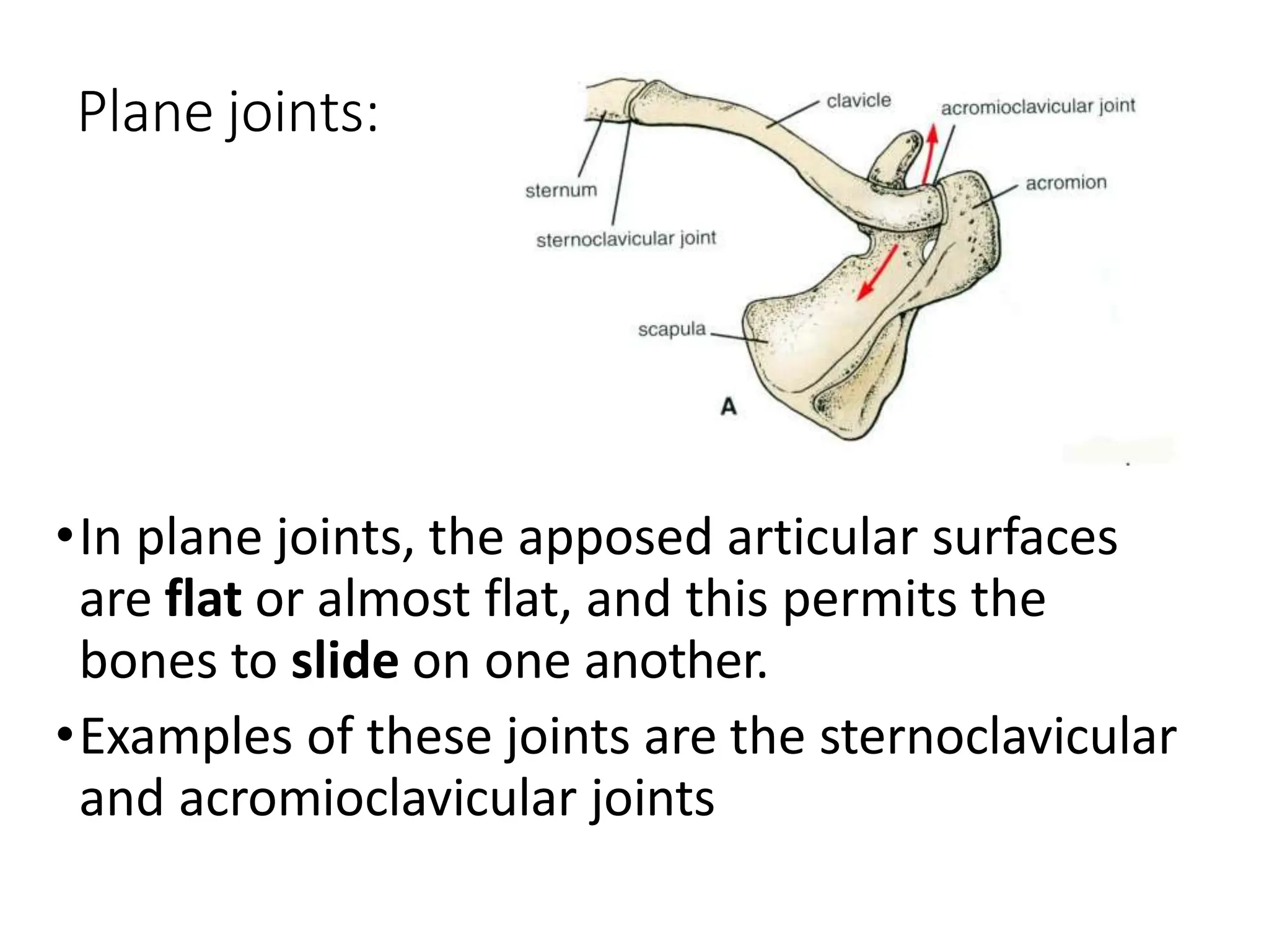 joints and its classification different types of joints .pptx | Death ...