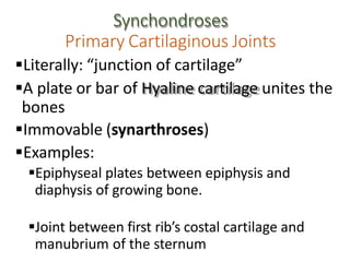 joints and its classification different types of joints .pptx