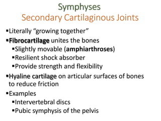 joints and its classification different types of joints .pptx