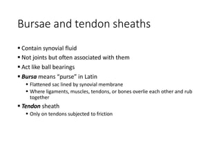 joints and its classification different types of joints .pptx