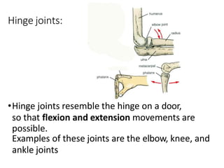 joints and its classification different types of joints .pptx