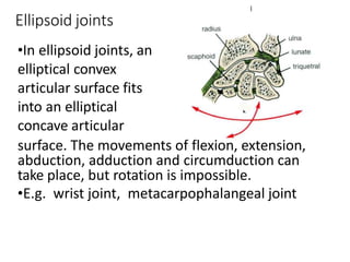 joints and its classification different types of joints .pptx