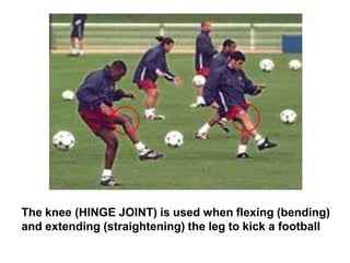 joints and its classification different types of joints .pptx