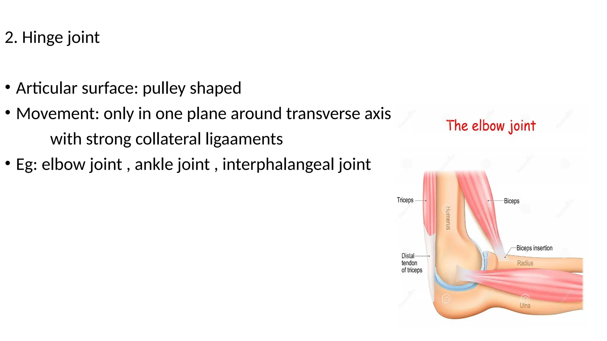 Joints and ligament with various types of joints | PPTX