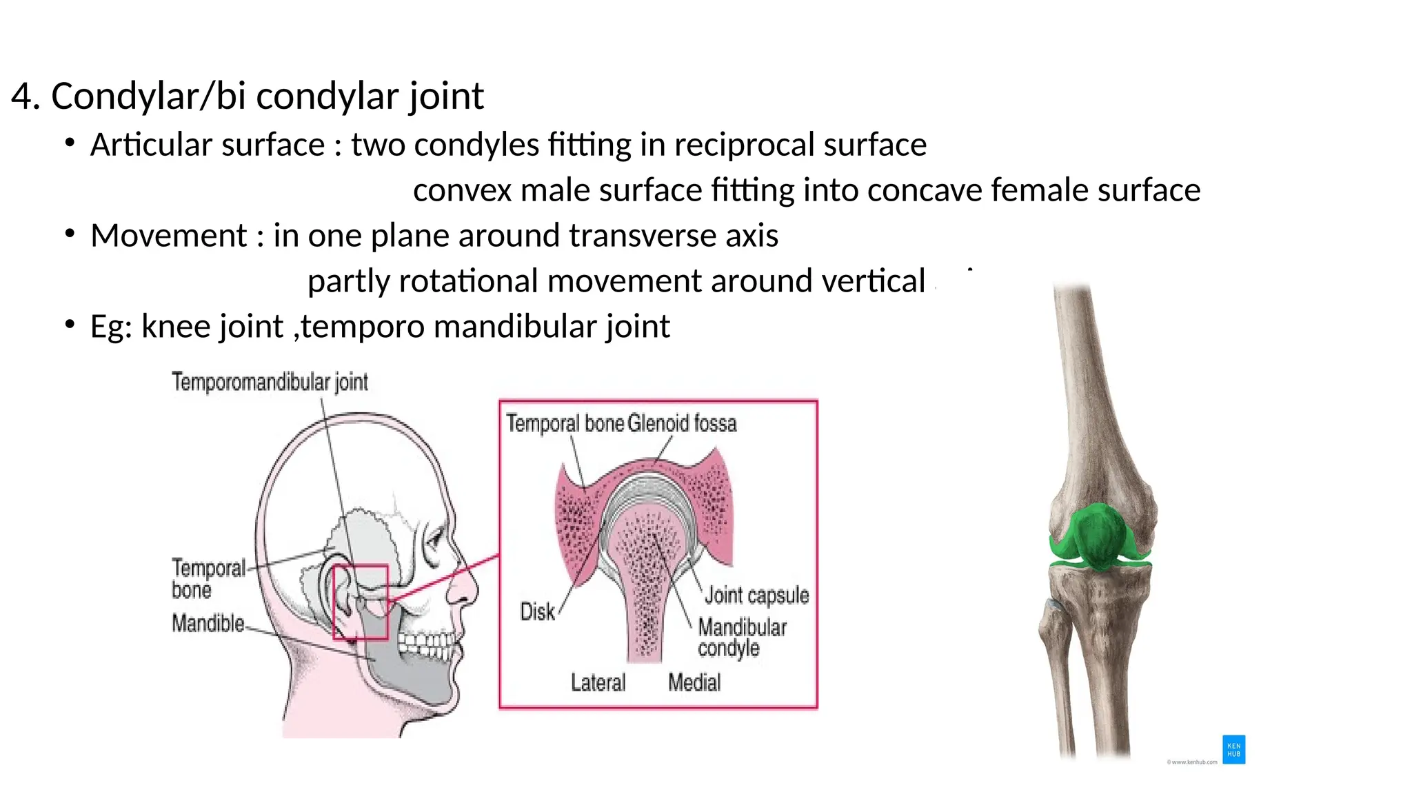 Joints and ligament with various types of joints | PPTX