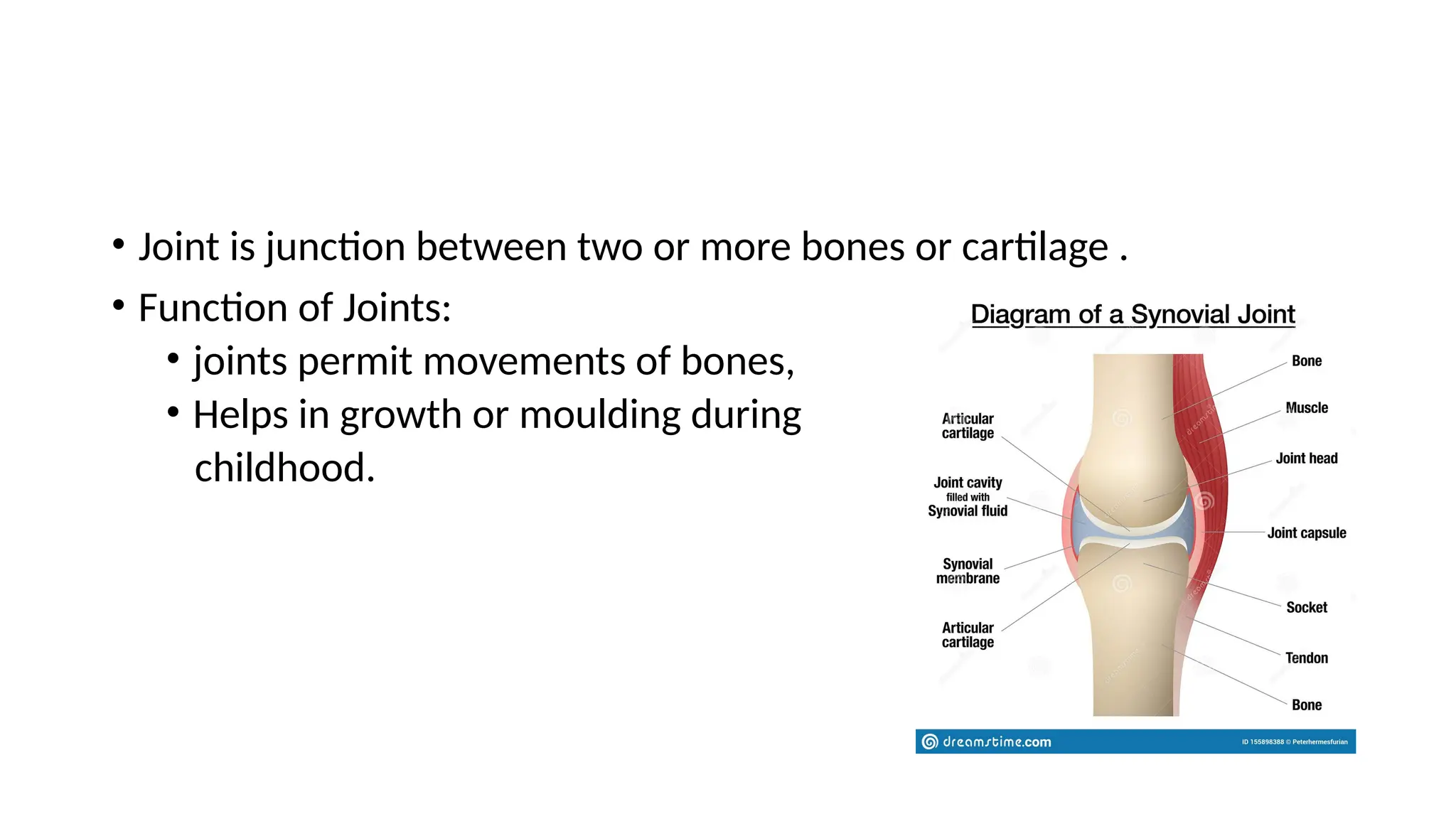Joints and ligament with various types of joints | PPTX