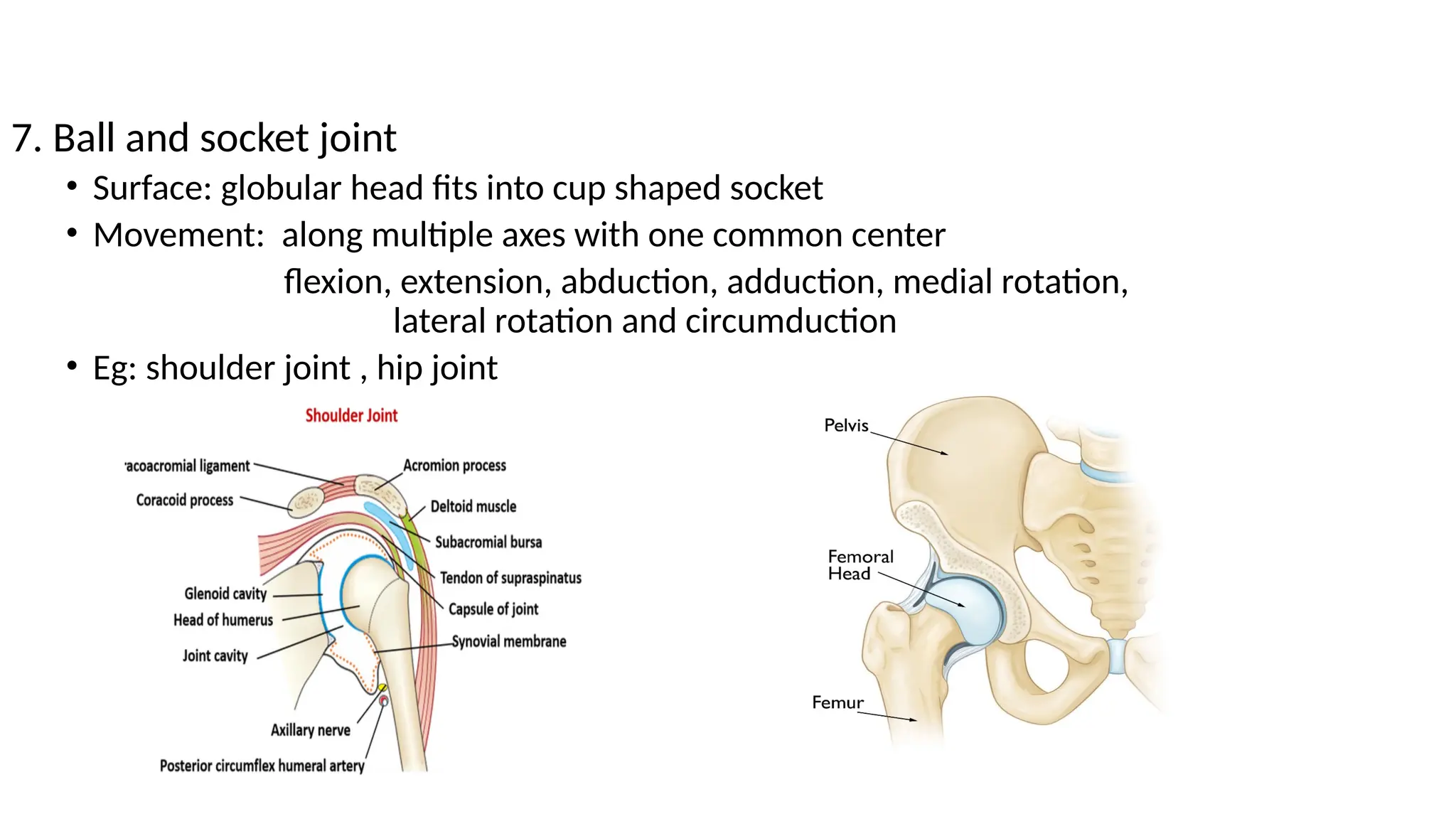 Joints and ligament with various types of joints | PPTX