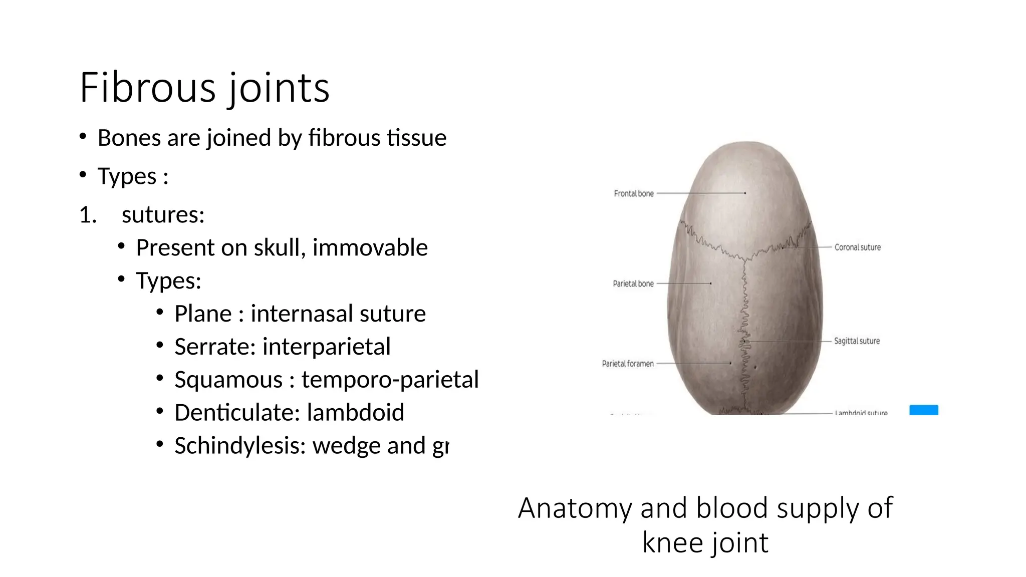 Joints and ligament with various types of joints | PPTX