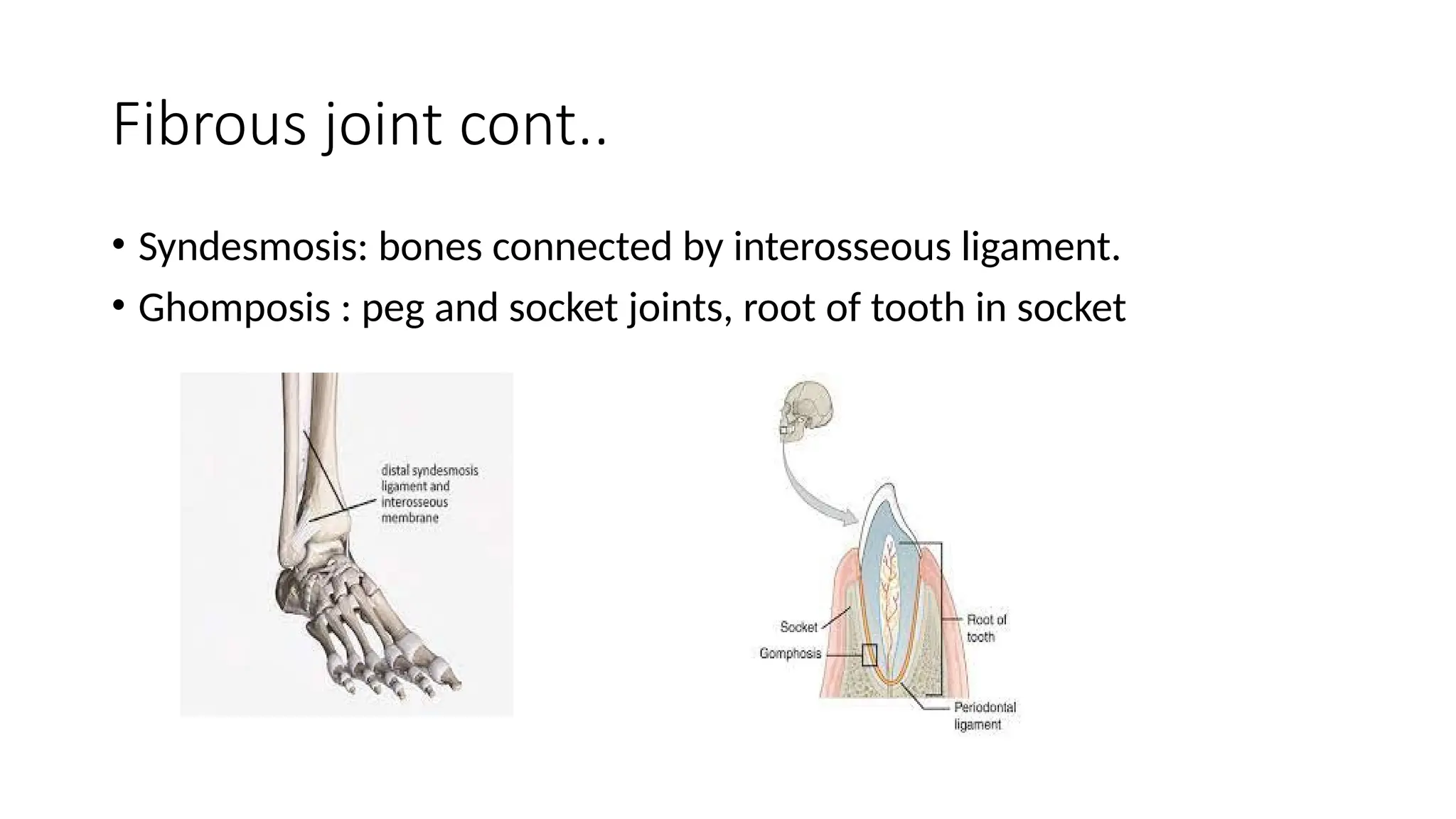 Joints and ligament with various types of joints | PPTX