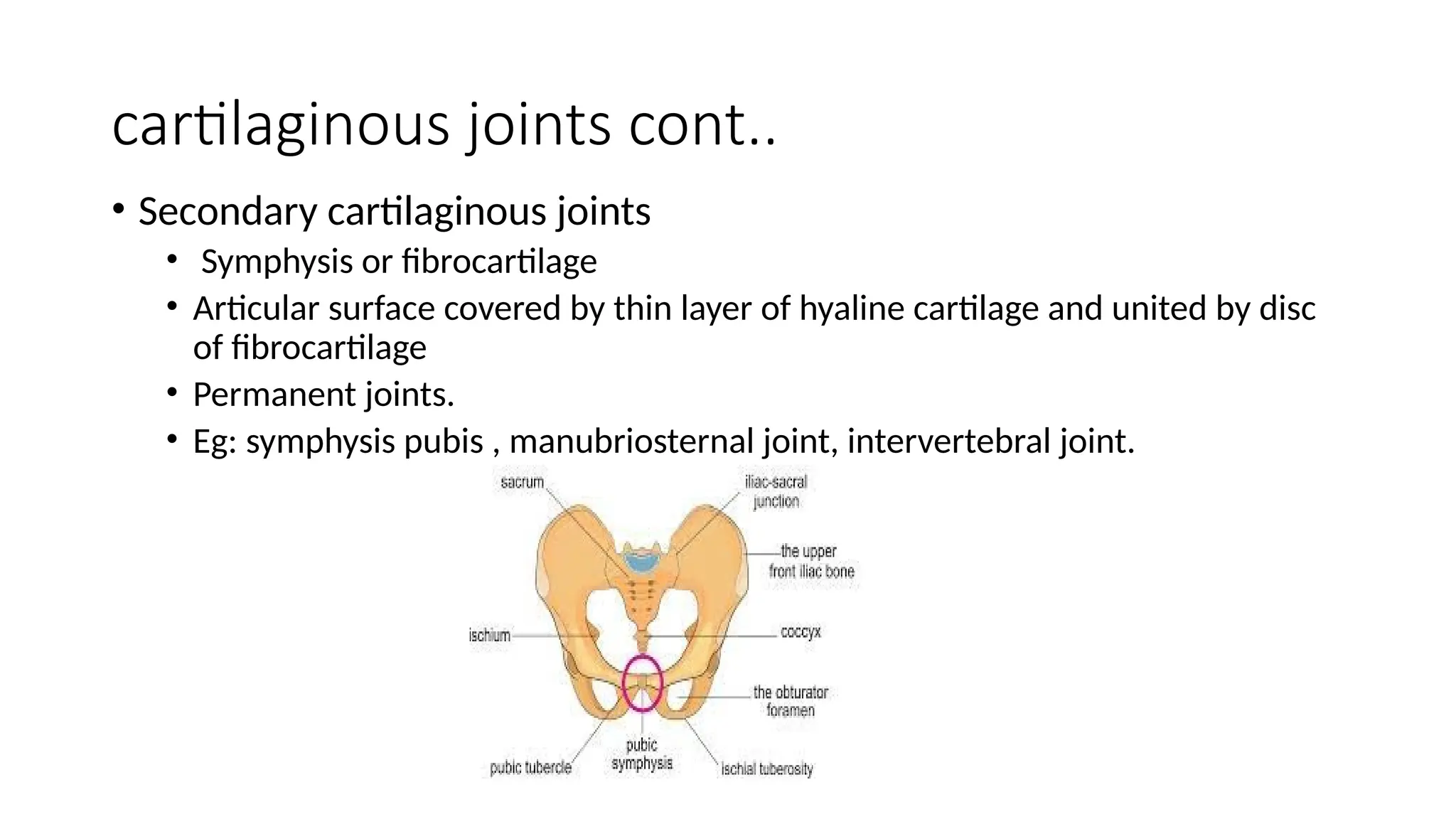 Joints and ligament with various types of joints | PPTX