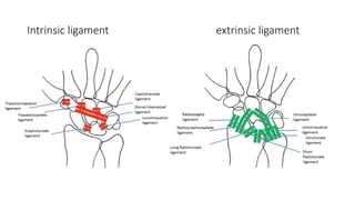 Joints and ligament with various types of joints | PPTX