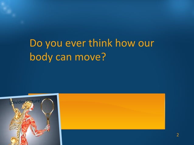 Joints and muscles | PPT