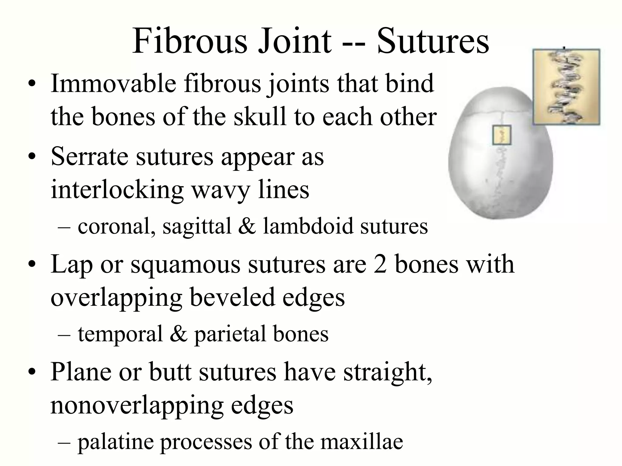 Joints and their movements | PPT