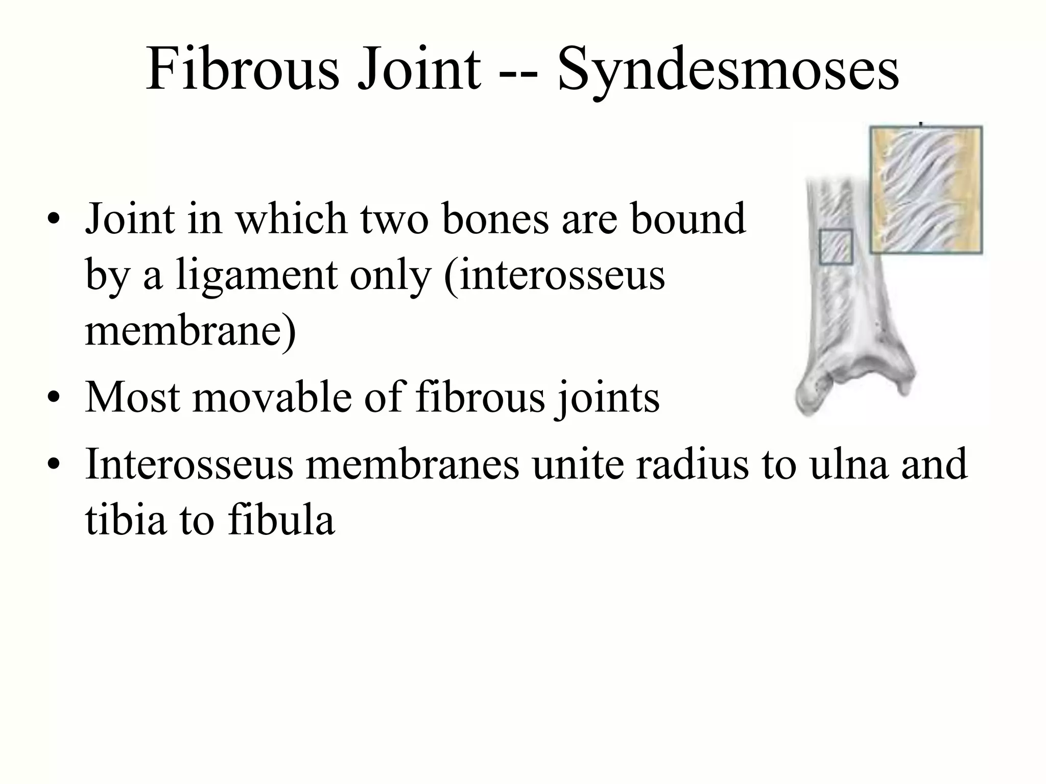 Joints and their movements | PPT