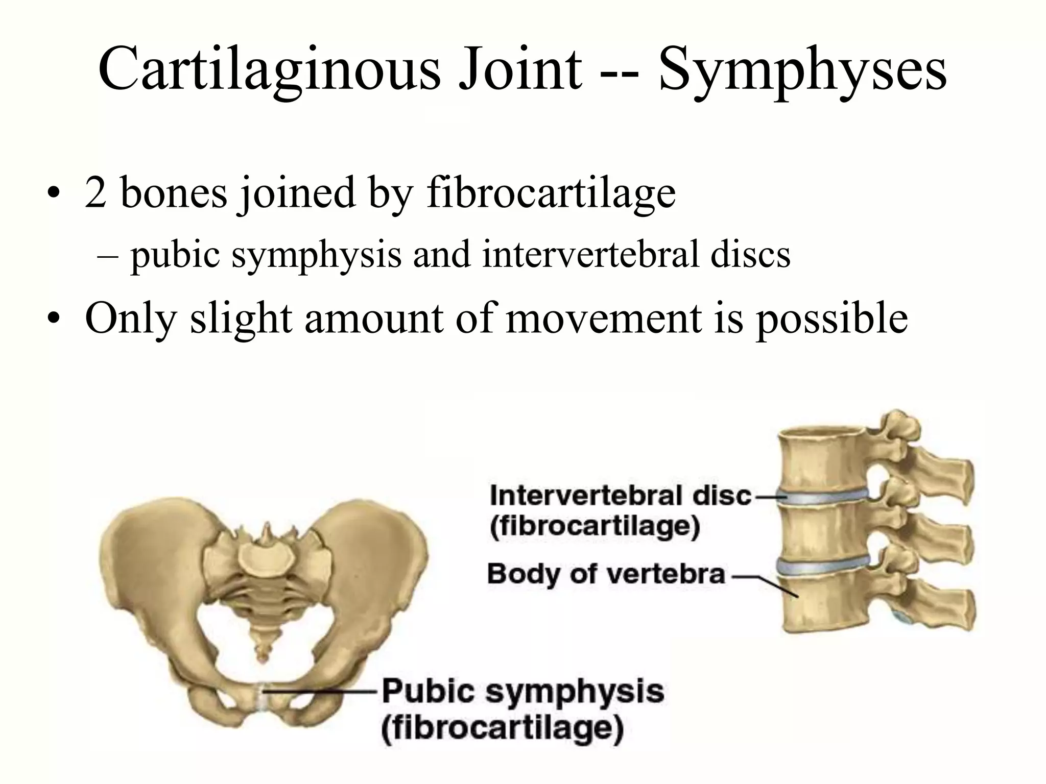 Joints and their movements | PPT
