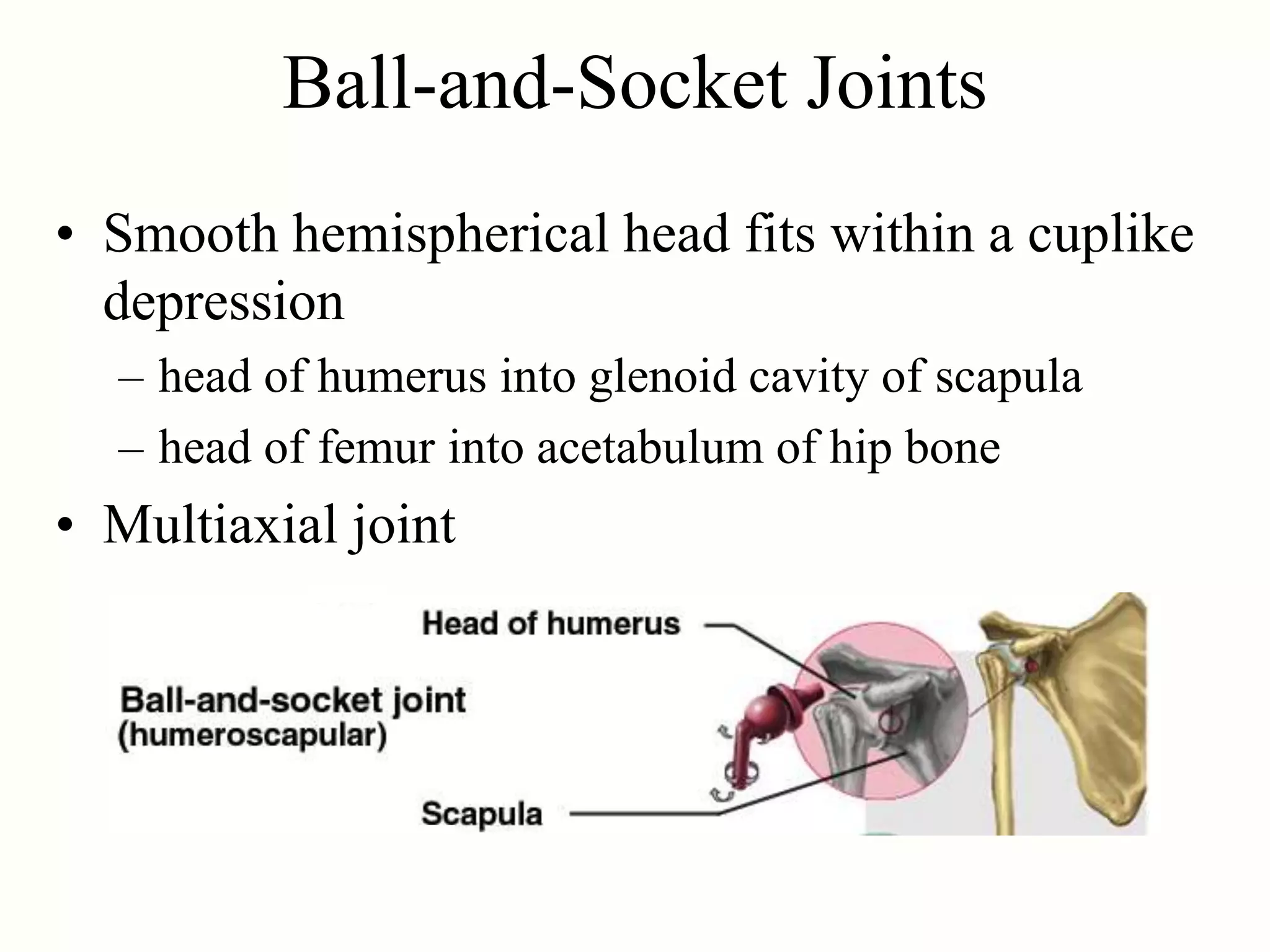 Joints and their movements | PPT