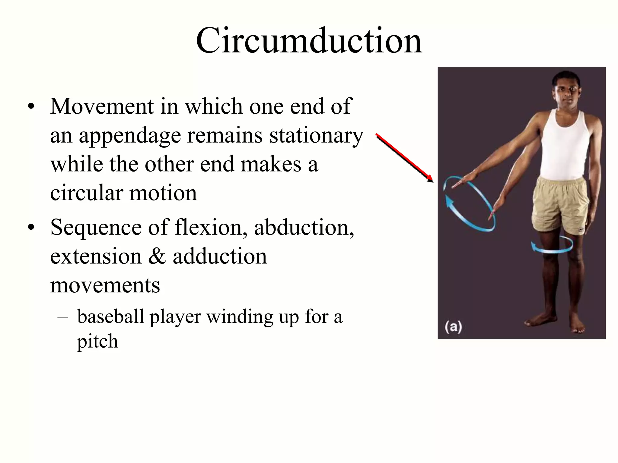 Joints and their movements | PPT