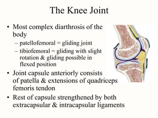 Joints and their movements | PPT