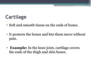 Anatomy and psychology Joints and Their Parts.pptx.docs