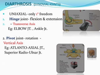 ANATOMY OF SYNOVIAL JOINTS_Synovial .pptt
