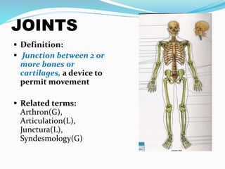 ANATOMY OF SYNOVIAL JOINTS_Synovial .pptt