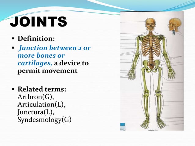 ANATOMY OF SYNOVIAL JOINTS_Synovial .pptt