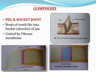 ANATOMY OF SYNOVIAL JOINTS_Synovial .pptt