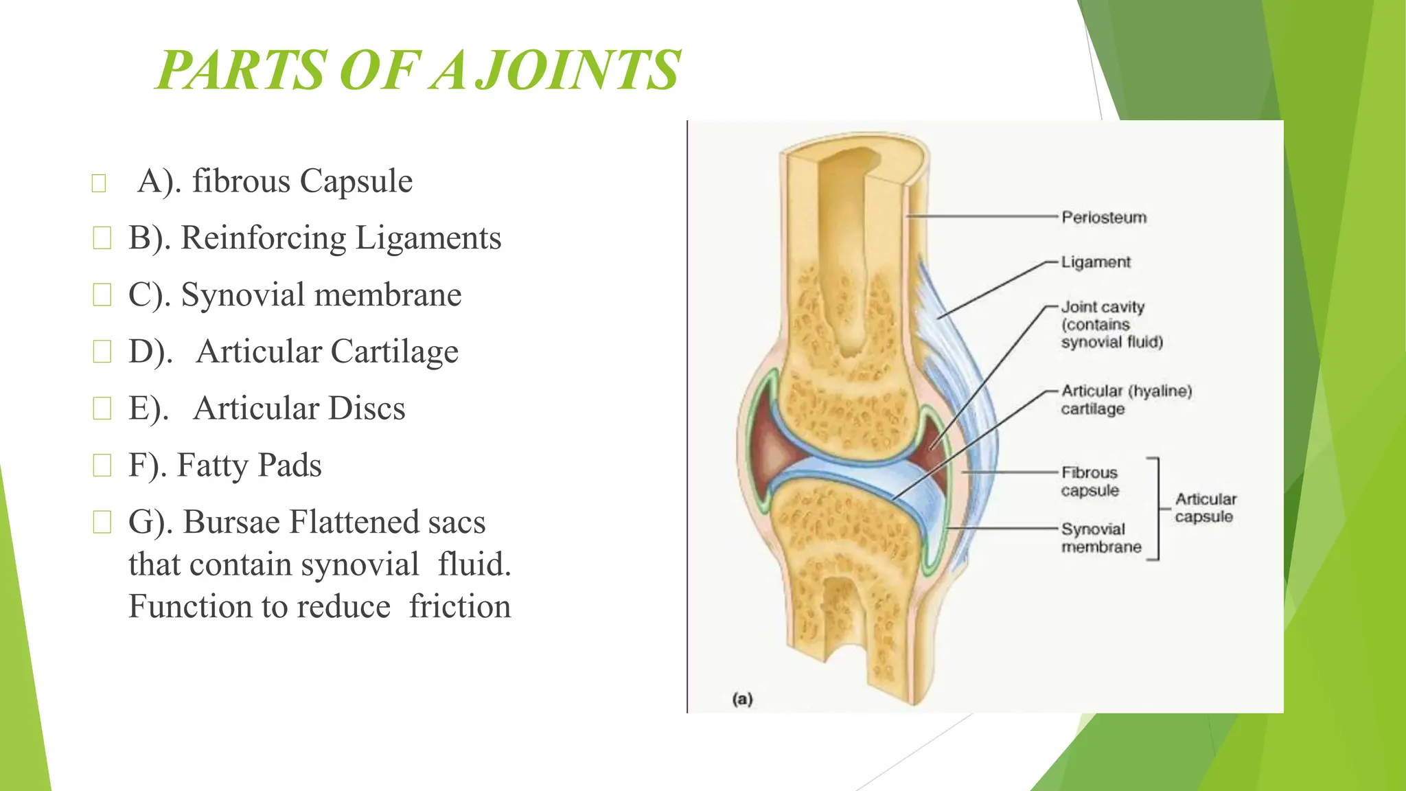 JOINTS CLASSIFICATION AND DISORDERS.pptx