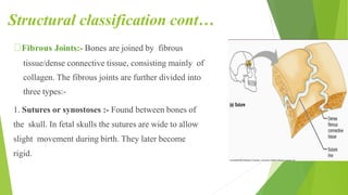 JOINTS CLASSIFICATION AND DISORDERS.pptx