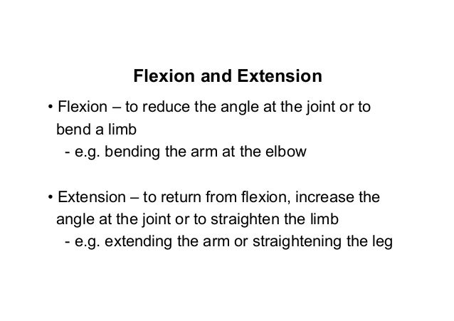 Flexion Vs Extension Occur At Joints Flexion Extension