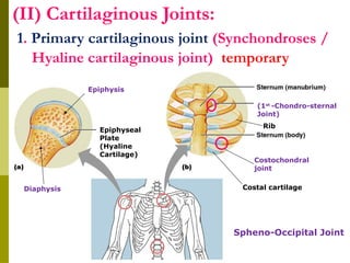joints general anatomy of human body and | PPTX