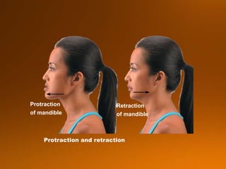Retraction Of Mandible